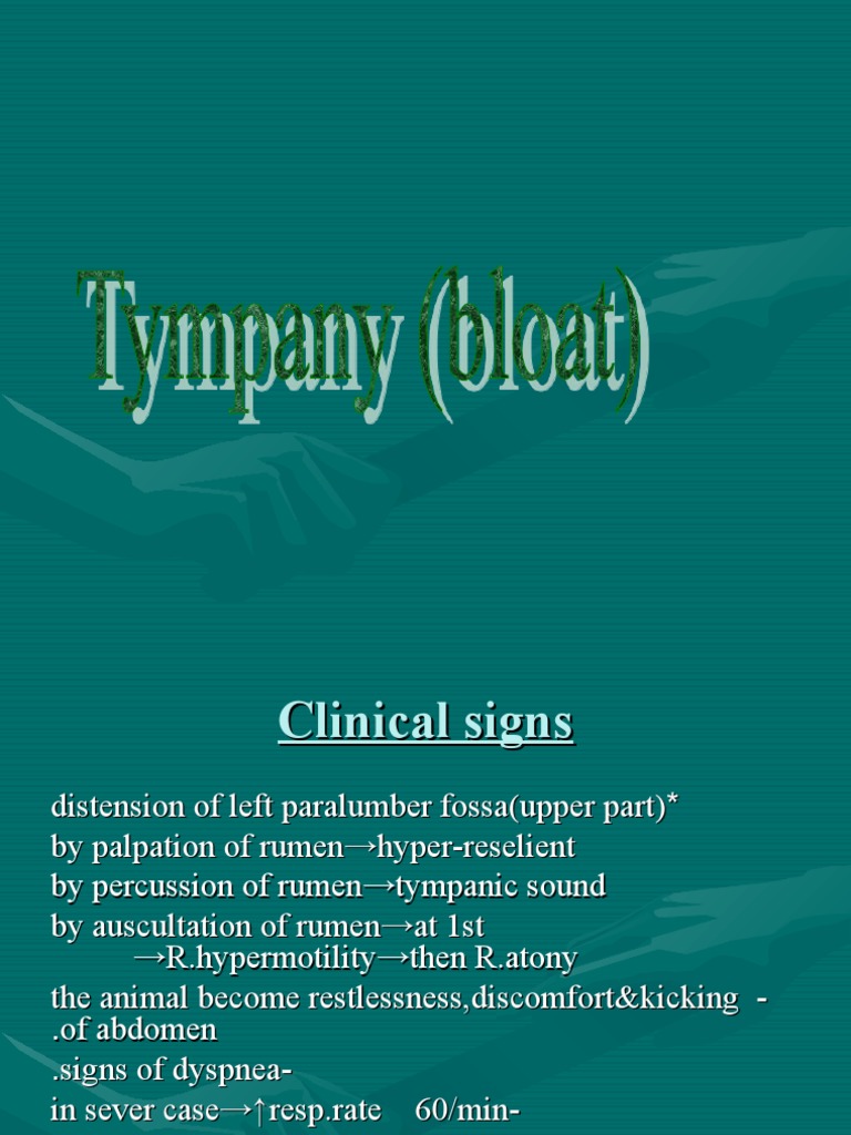 Tympany (Bloat) | PDF | Wellness