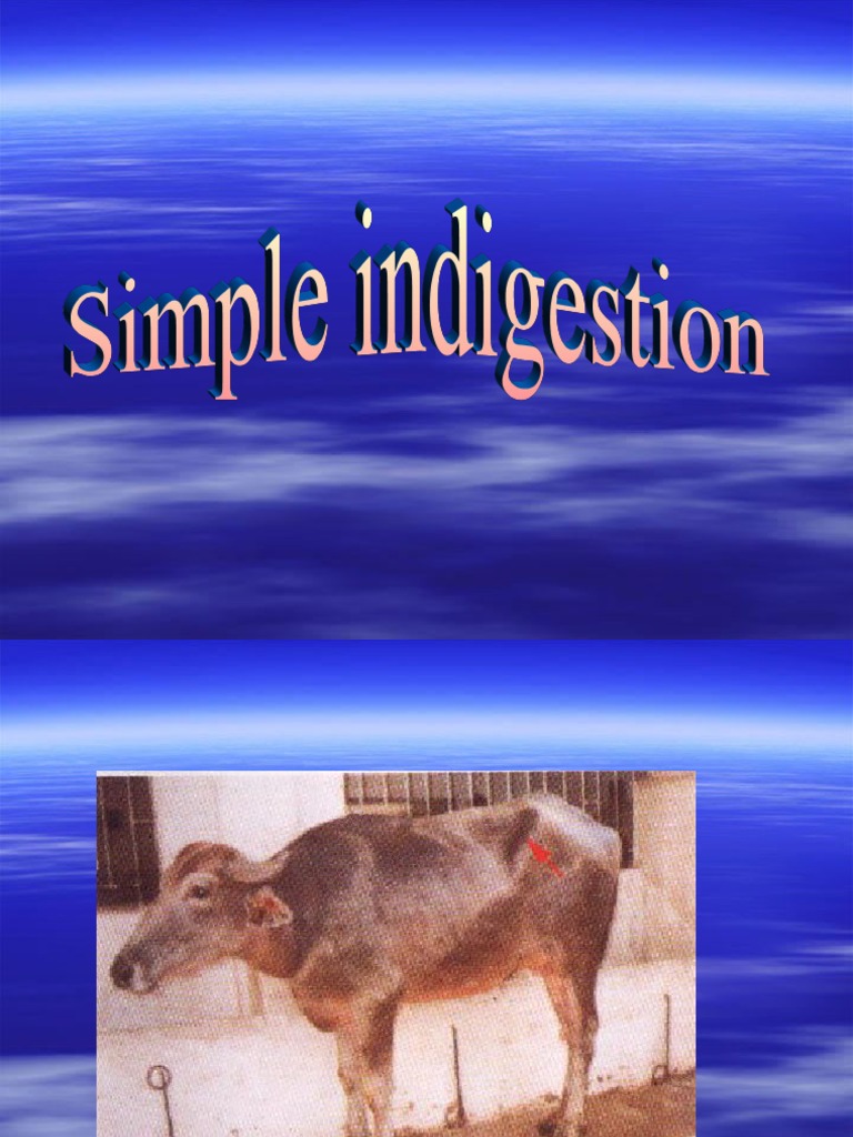 Clinical Signs and Treatments for Rumen Issues | PDF | Wellness