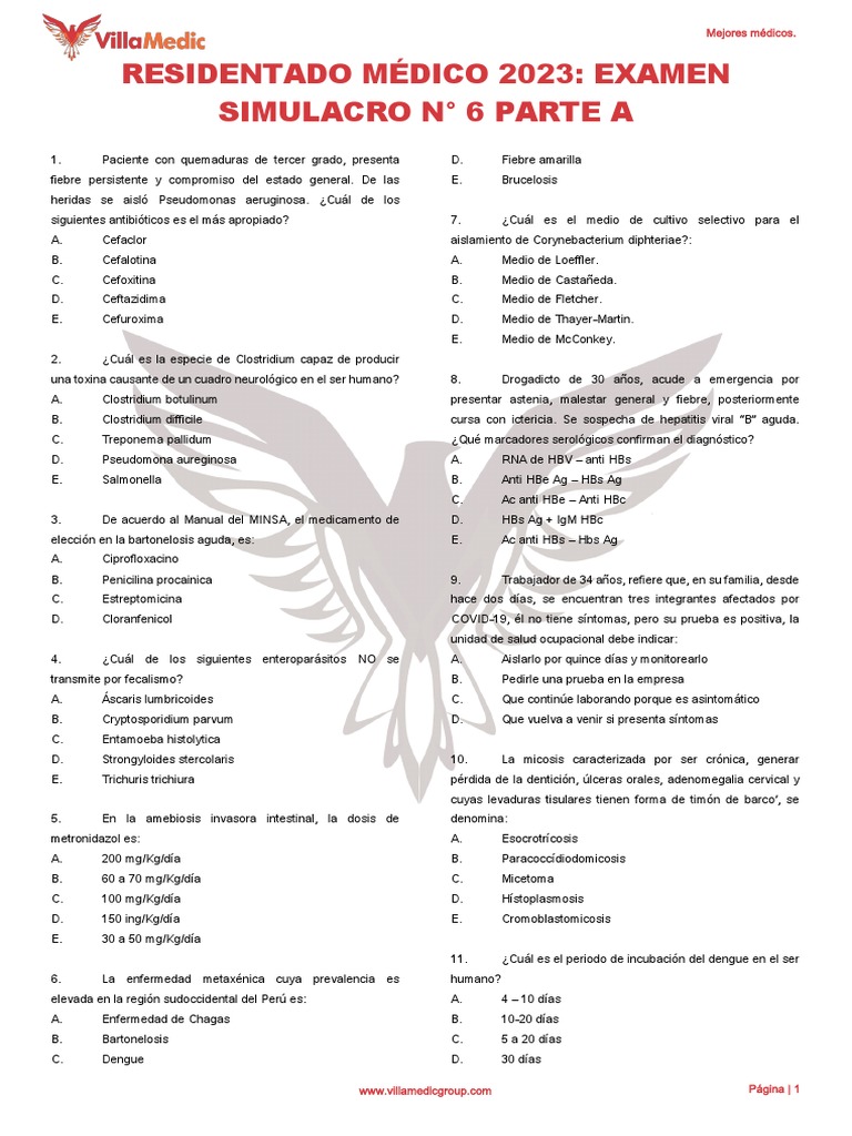 RM 2023 - Examen Simulacro 6 A | PDF | Relaciones personales, crianza y ...