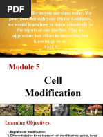 Week 3: Cell Modifications: General Biology 1 | PDF | Cell Cycle | Mitosis