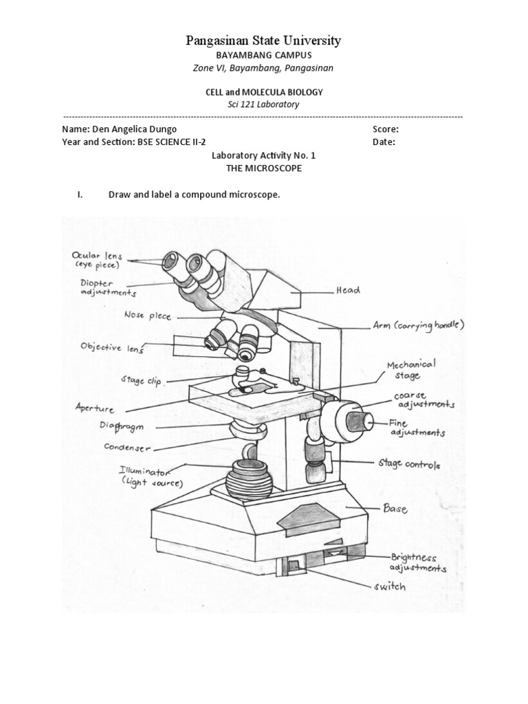 CMB Lab 1... M | Download Free PDF | Microscope | Eye
