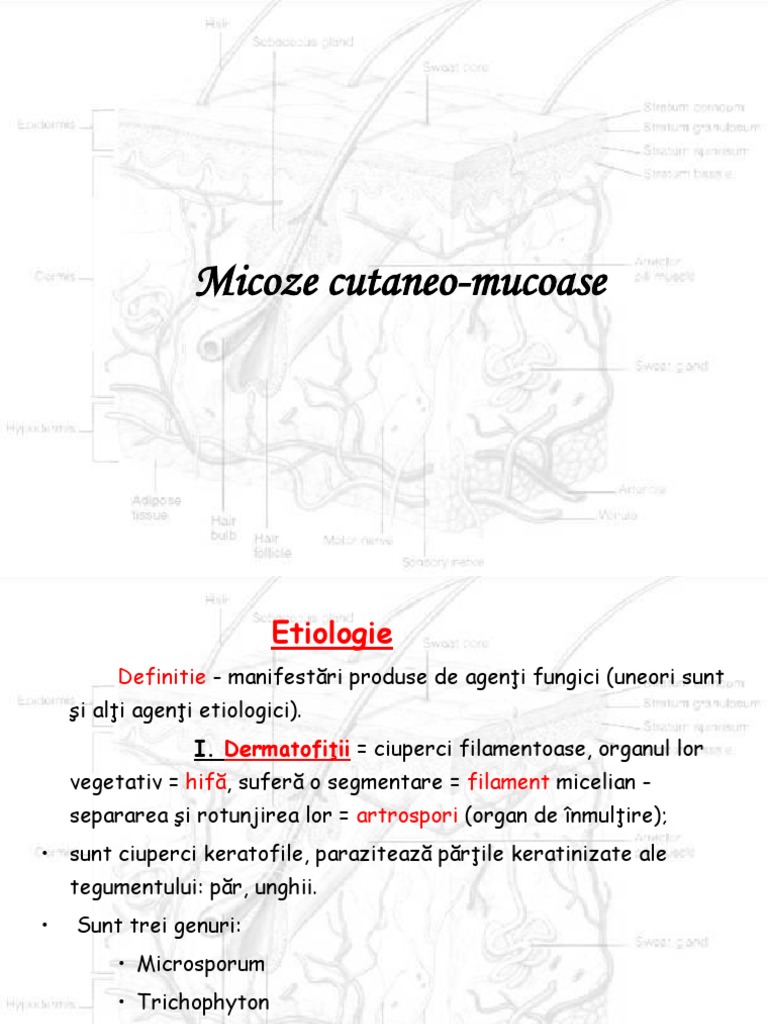 04 Pilomicoze Infectii Fungice Cutanate | PDF