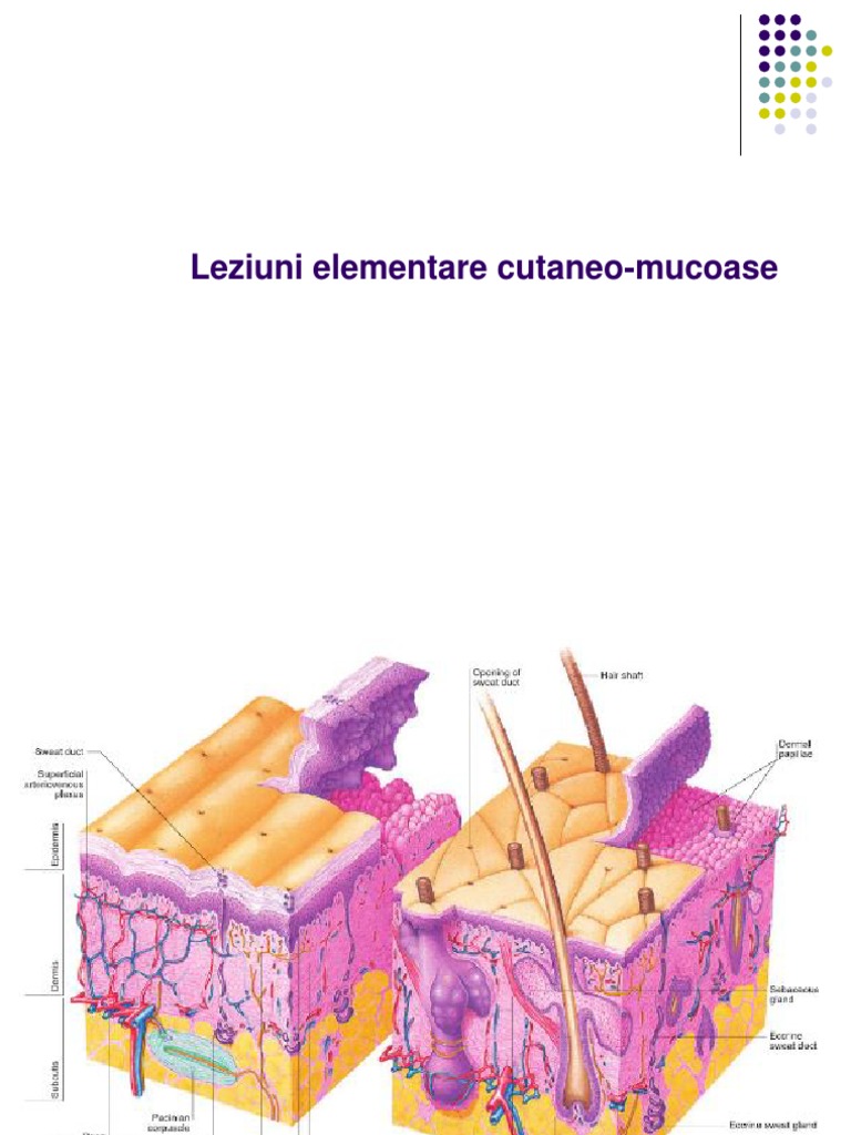 03 Leziuni Elementare | PDF