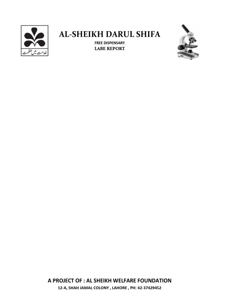 Labe Report | PDF