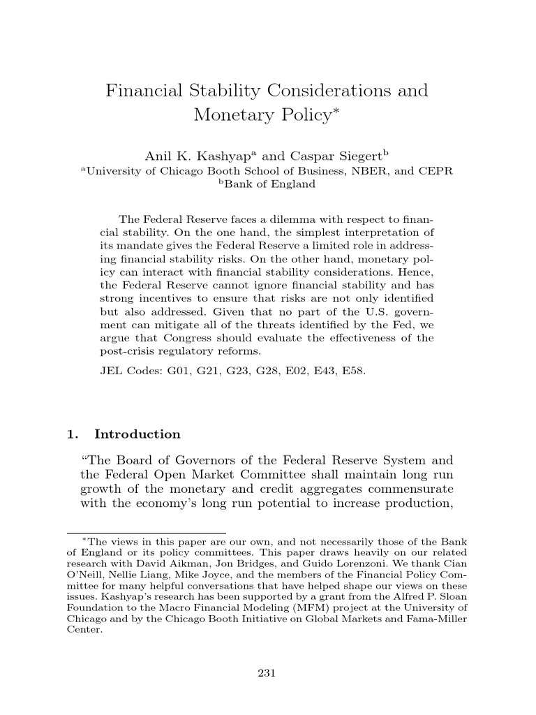 Good Paper Fin Stab Consid and Monet Policy | PDF