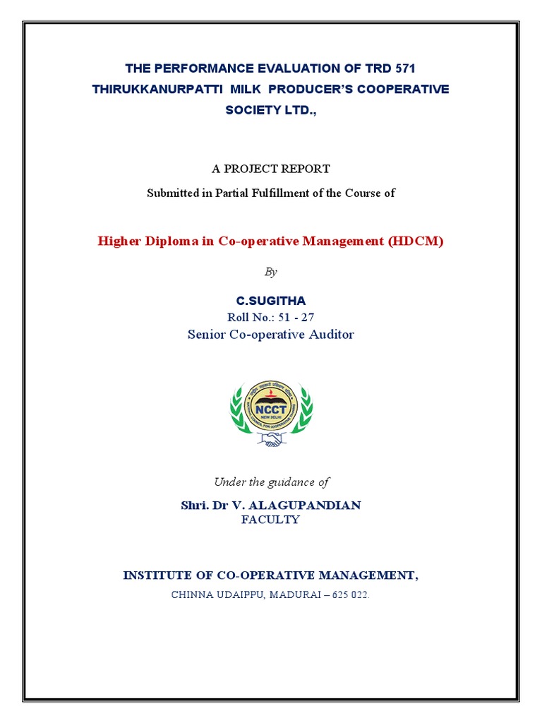 Model Cover Page | Download Free PDF | Economies | Business