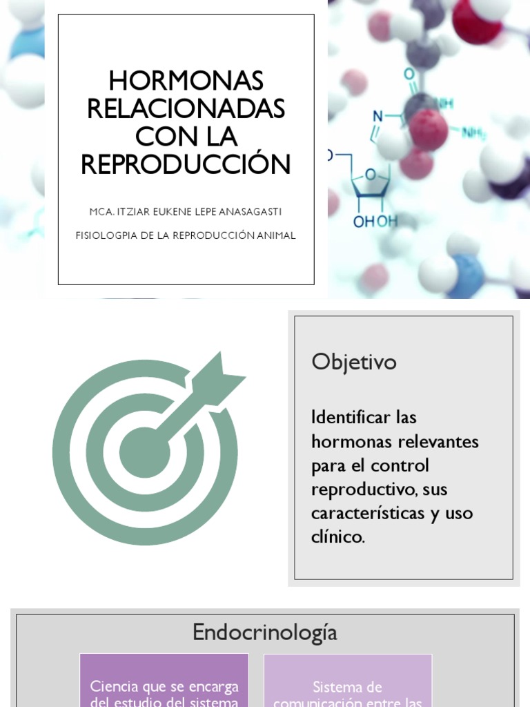Hormonas Relacionadas Con La Reproducción 22 | PDF | Glándula ...