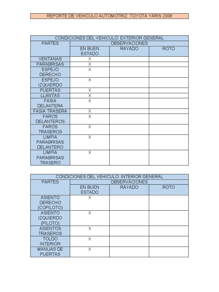 Reporte de Vehiculo Automotriz | PDF