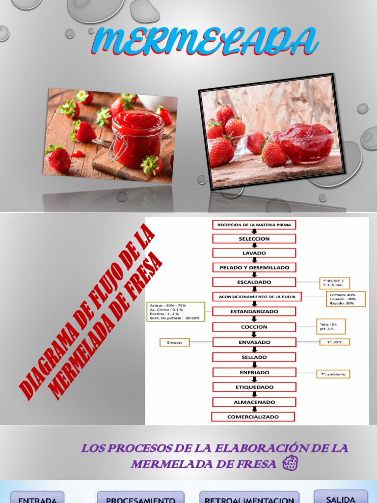 LA PRODUCCIÓN DE LA MERMELADA DE FRESA | PDF