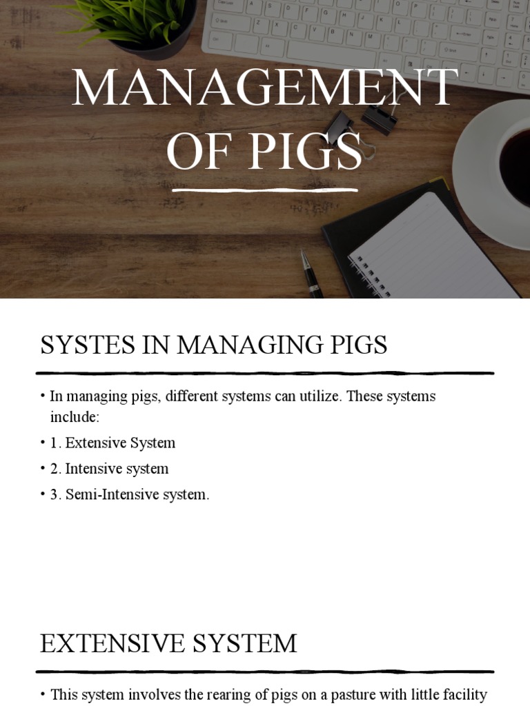Management of Pigs | PDF | Pig | Agriculture