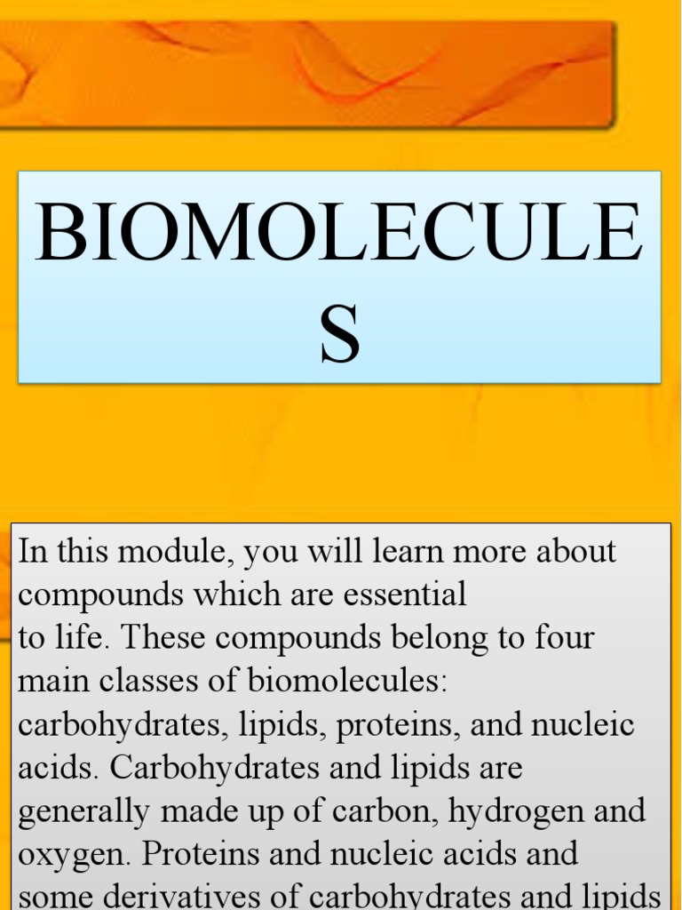 Biomolecules 2 | PDF