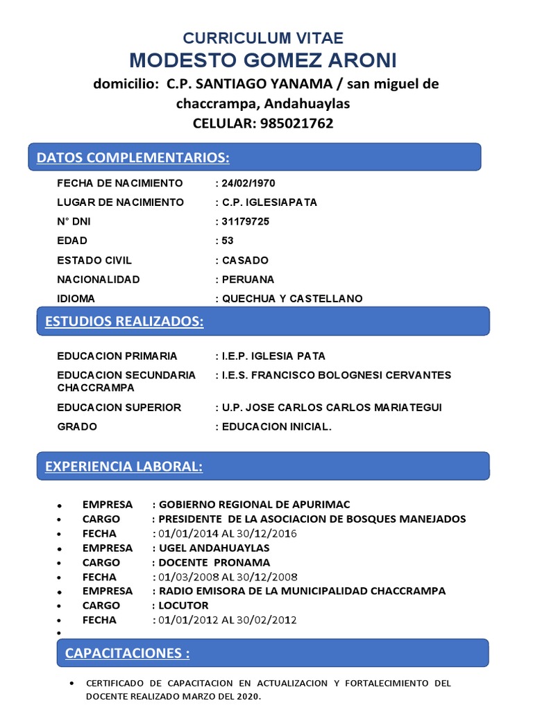 Curriculum Vita23 | PDF | Infancia | Etapas educativas