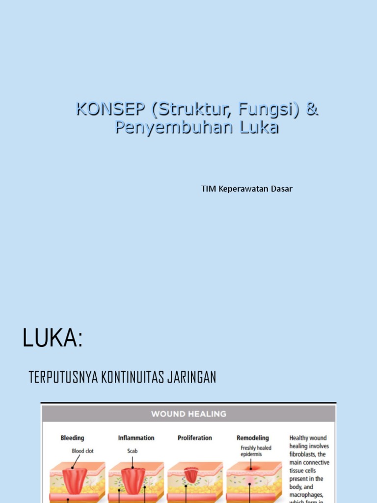 Konsep Penyembuhan Luka | PDF