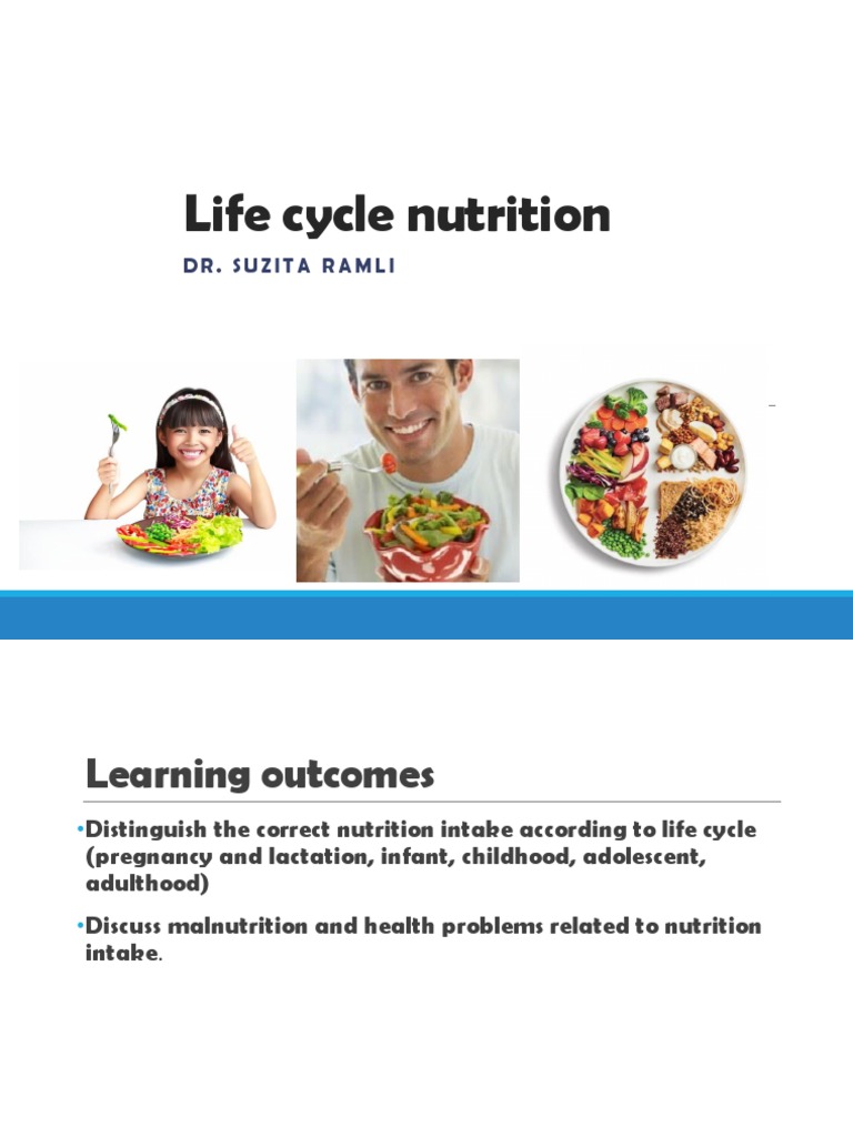 Life Cycle Nutrition Mind Map | PDF | Self-Improvement