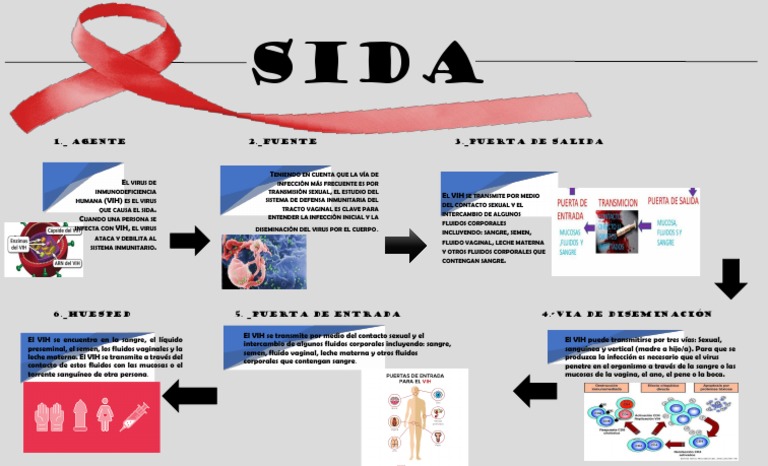 Cadena de transmisión del VIH/SIDA | PDF | VIH | VIH / SIDA
