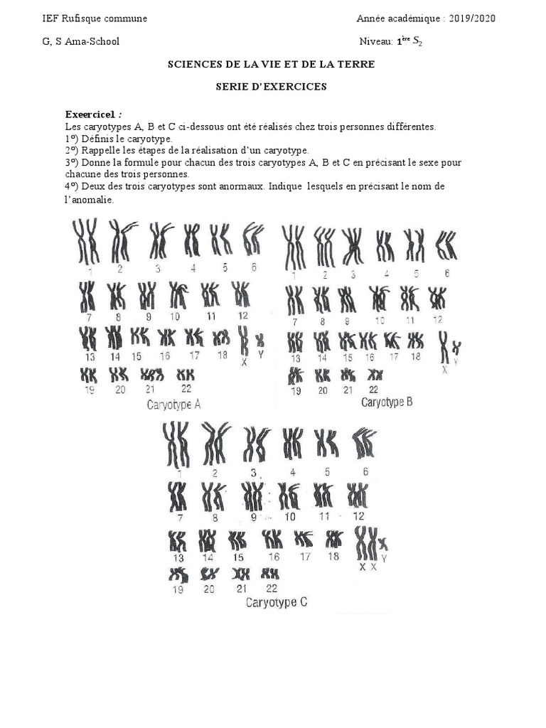 Exercices SVT 1ere S2 | PDF