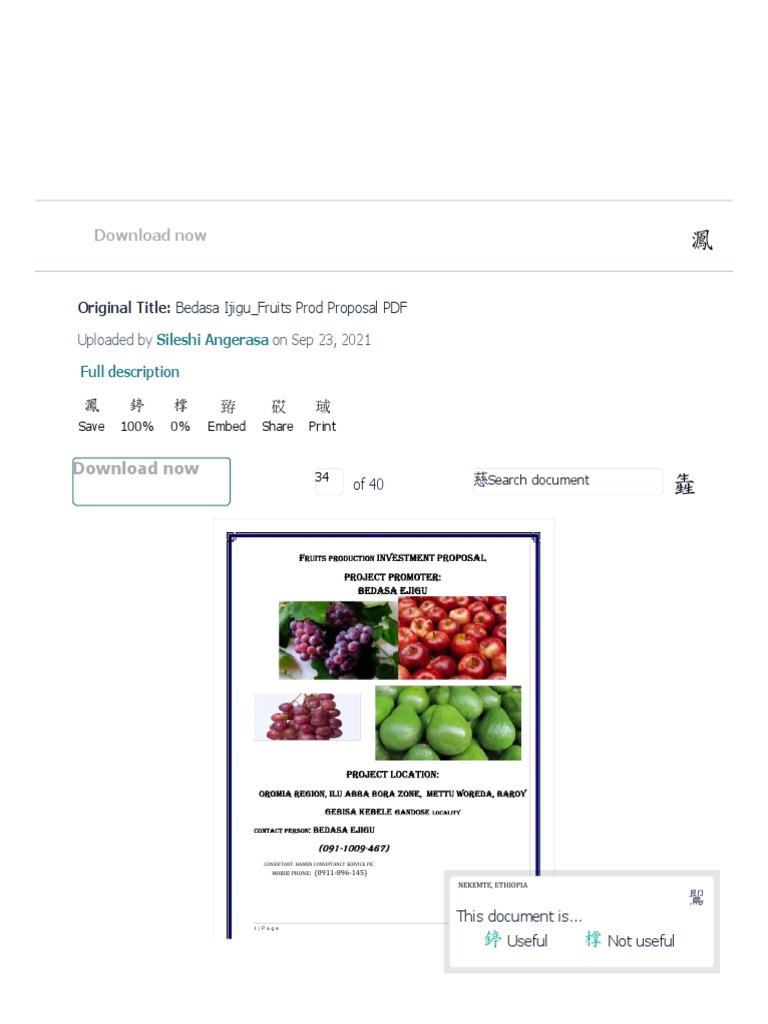 Fruits Prod Proposal | PDF | Scribd | Internal Rate Of Return