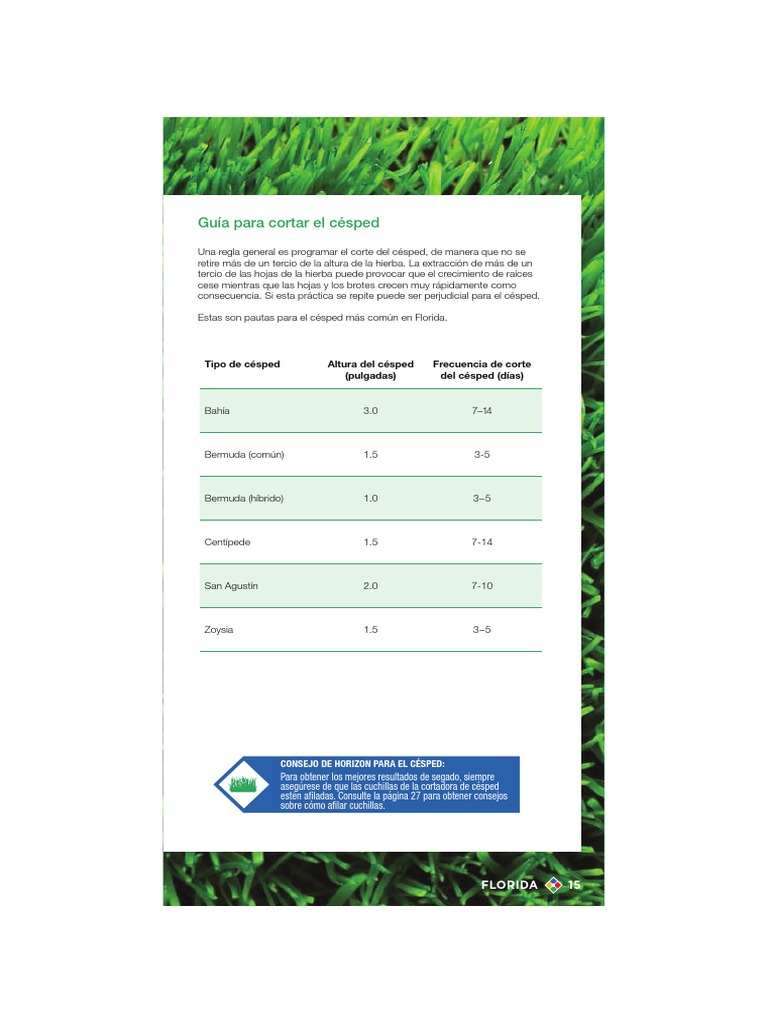 Consejos para cortar el césped en Florida | PDF