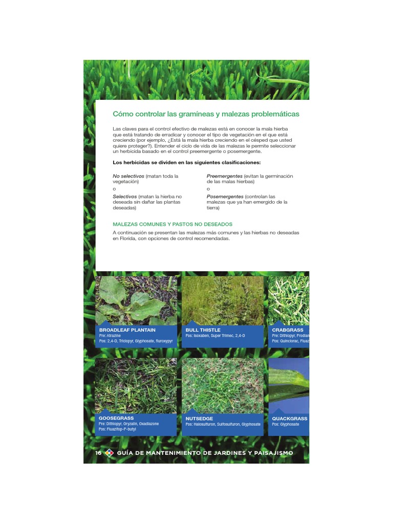 Control de Malezas | PDF