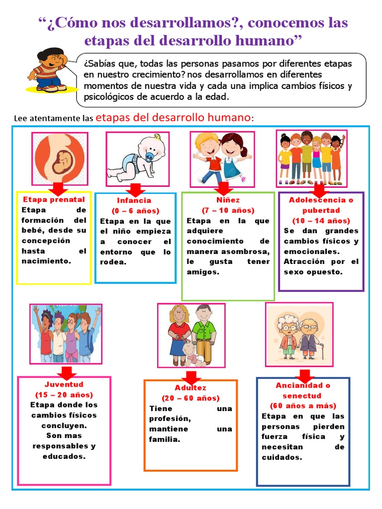 MIERCOLES 07 DE JUNIO FICHA ETAPAS DEL DESARROLLO HUMANO | PDF
