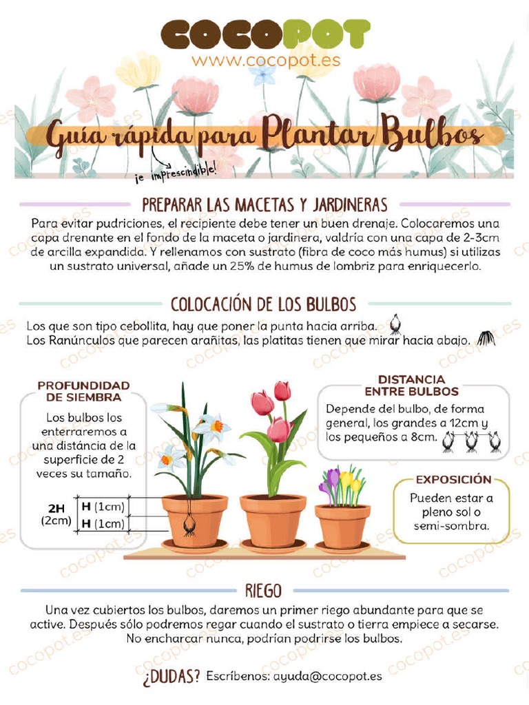 guia-plantar-bulbos | PDF