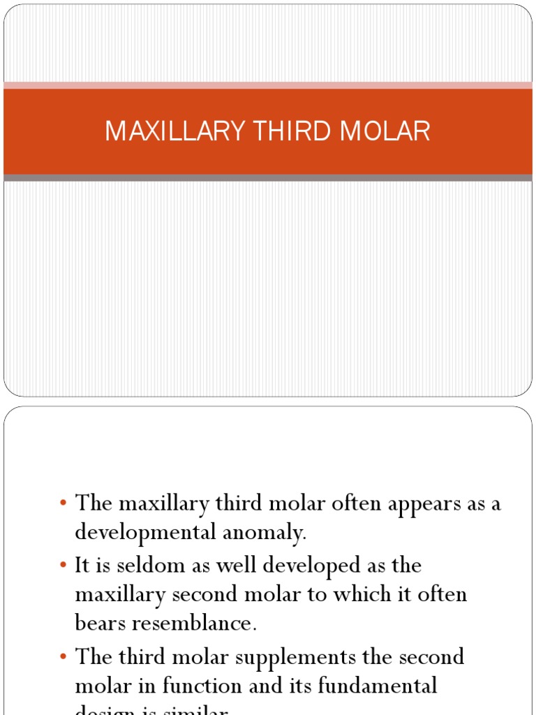 Maxillary Third Molar | PDF | Dental Anatomy | Tooth