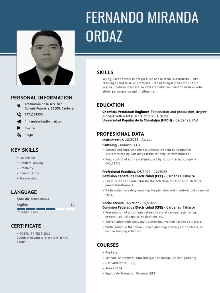 Fernando Miranda Ordaz - CV English | PDF