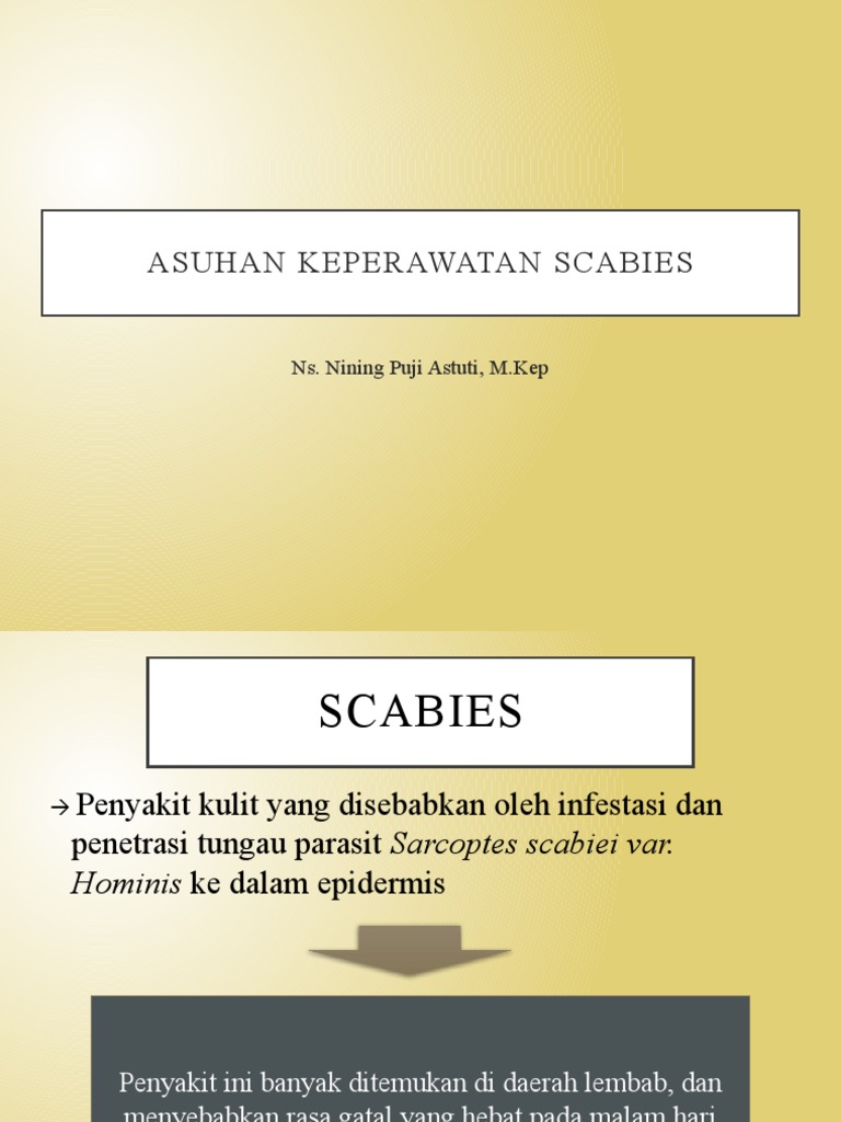 Tropical Diseases Scabies | PDF