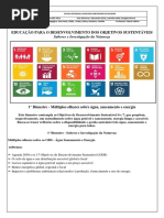 Atividade ODS | PDF | Sustentabilidade | Desenvolvimento sustentável