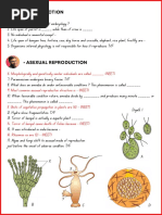 BioHack Class XII Book | PDF | Seed | Menstrual Cycle