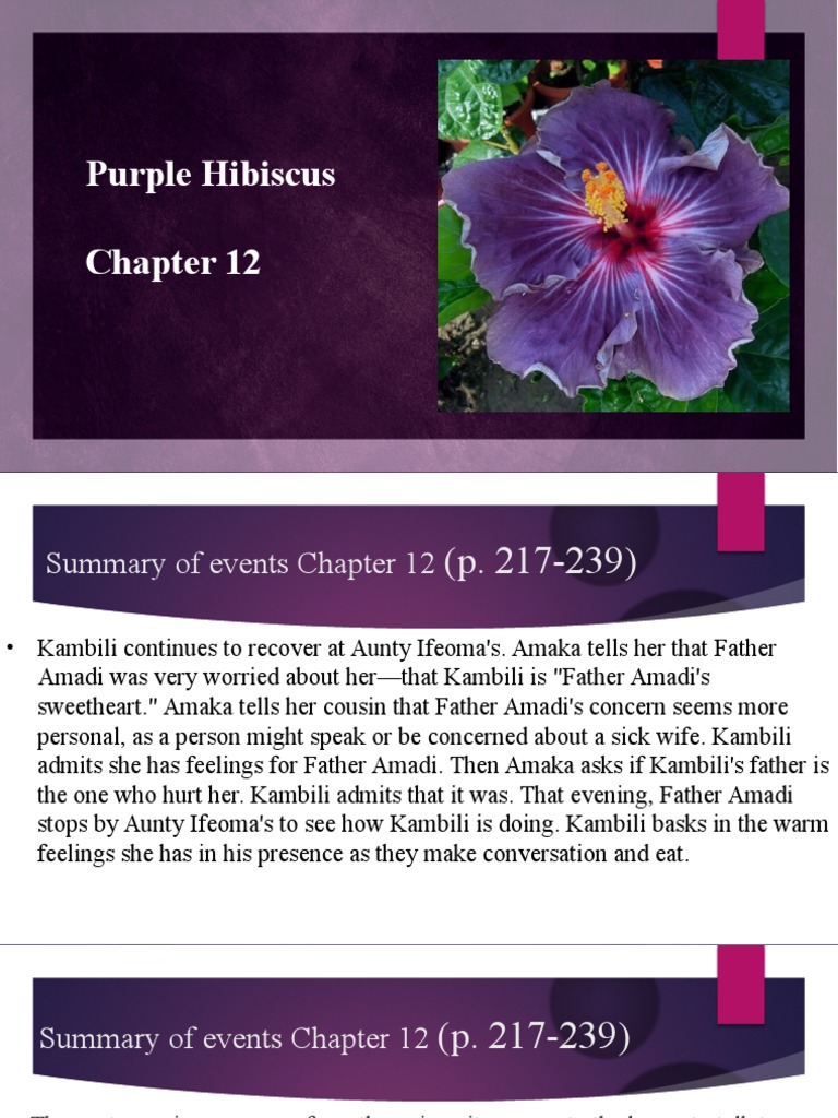 Chapter 12 Summary of Purple Hibiscus | PDF