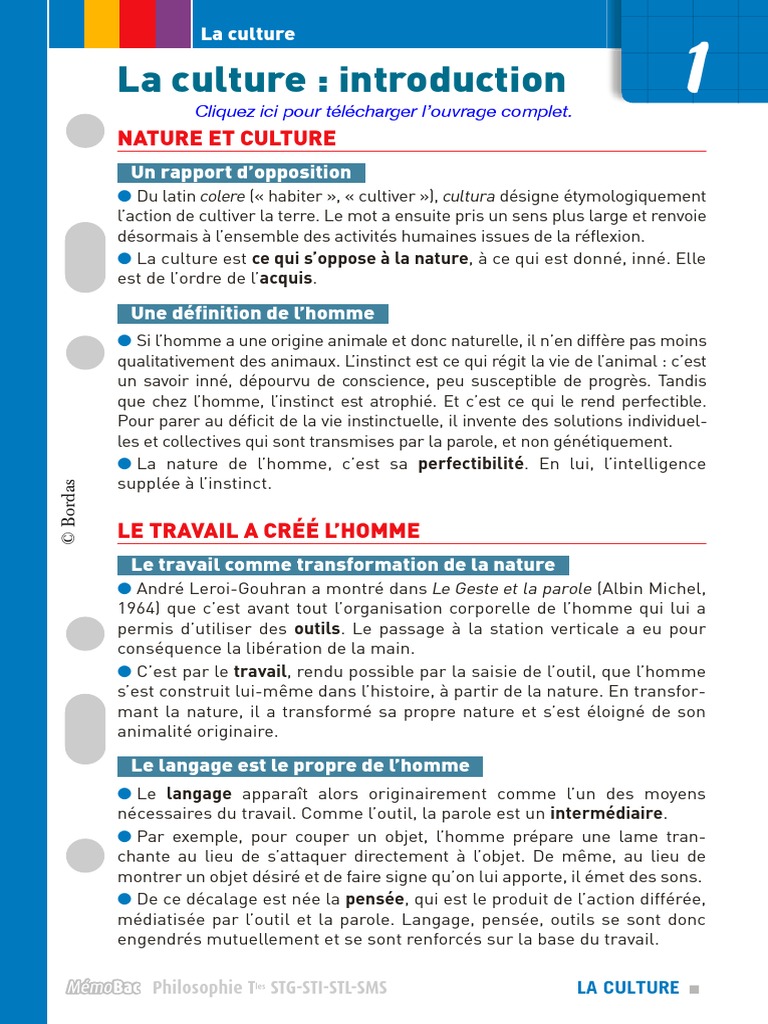 Fiche Defibac La Culture Introduction | PDF