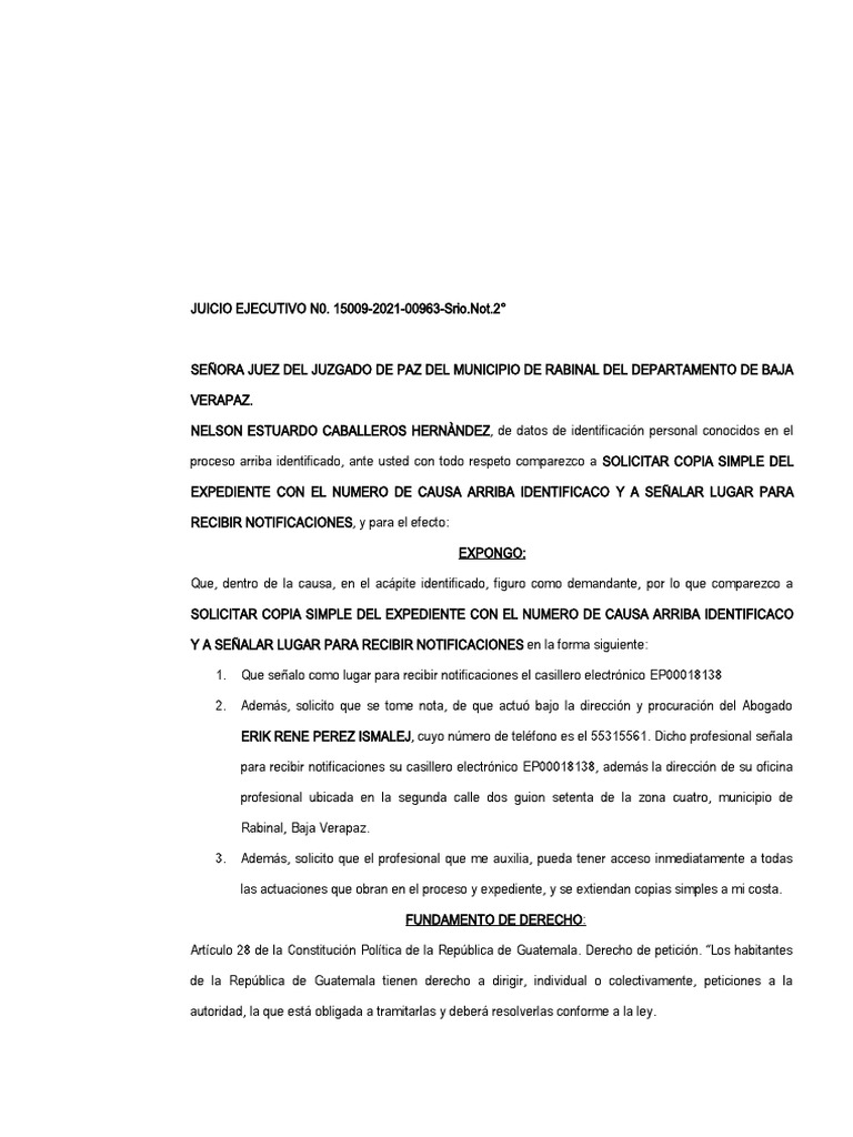 Solicitud de Copia Simple de Expediente | PDF