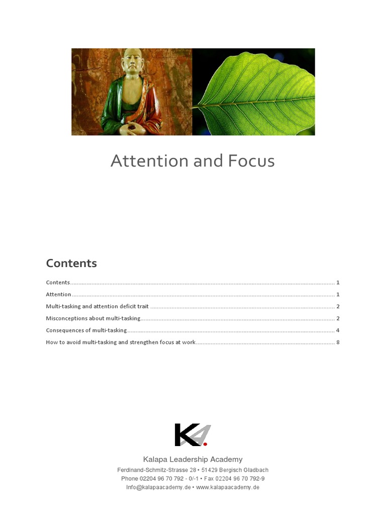 Attention and Focus | PDF | Prefrontal Cortex | Attention