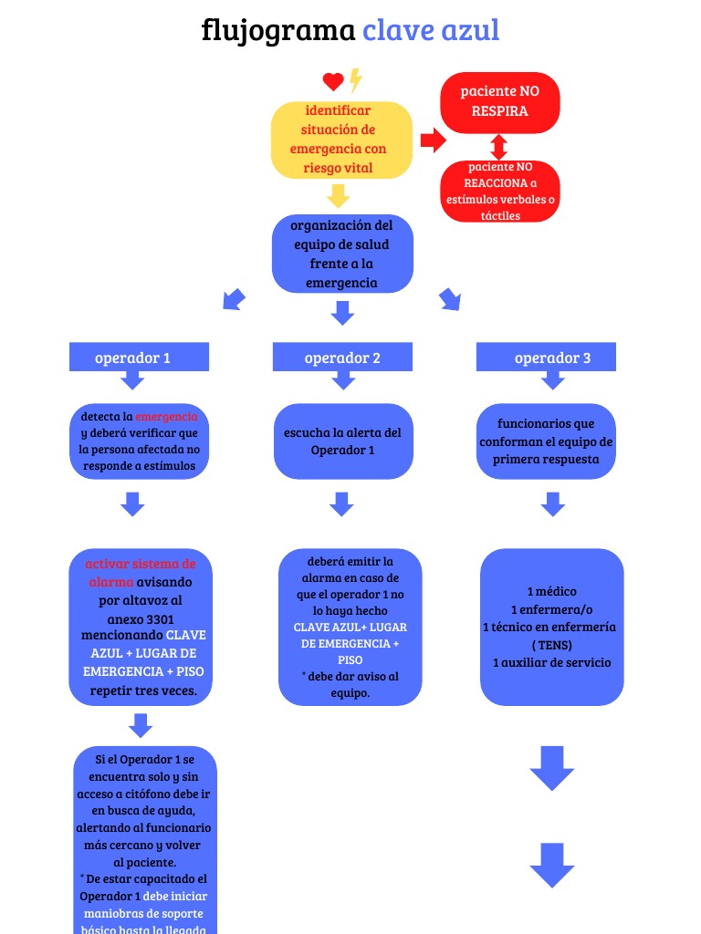 Flujograma Clave Azul Cesfam | PDF