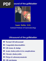 HBT Ultrasound: Meaning and Purpose | PDF | Gallbladder | Liver