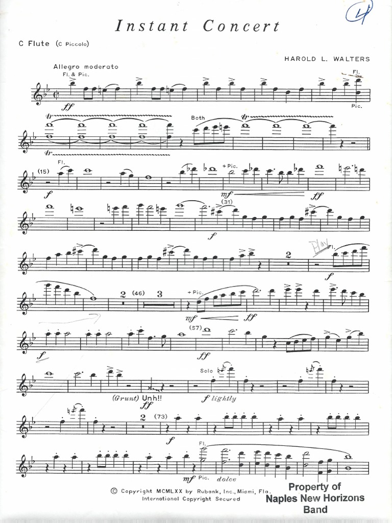 Instant Concert Flute | PDF
