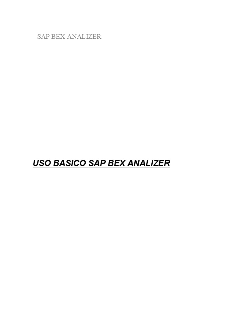 Instructivo Sap Bex Analizer - Uso Basico | PDF | Software de la aplicacion | Gestión de ...