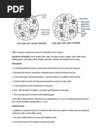 Class 9 Experiment 4 Onion Cell, Cheek Cell | PDF | Cell (Biology ...