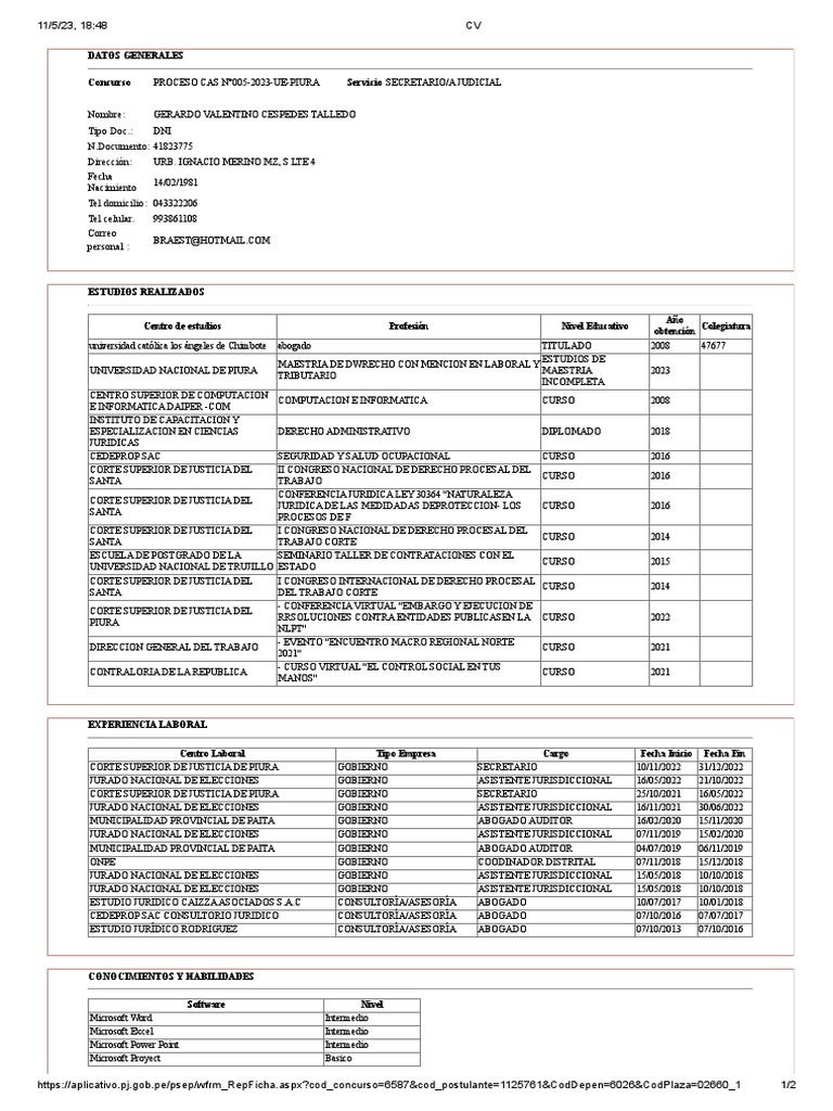 Convocatoria PJ 2023 Ficha CV | PDF
