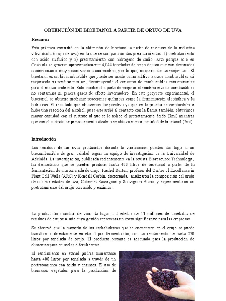 Bietanol A Partir de Orujo de Uva PRACTICA | PDF | Combustible de ...
