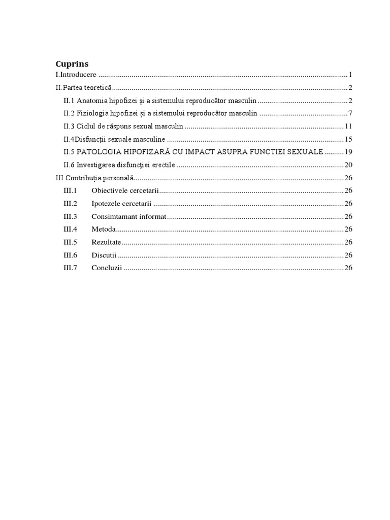 Exemplu Licenta | PDF