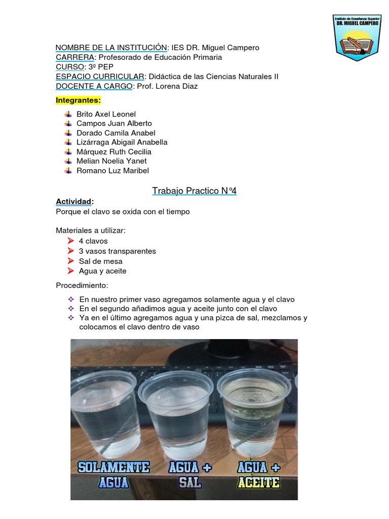 Didactica Cs Ns 2 tp4 | PDF