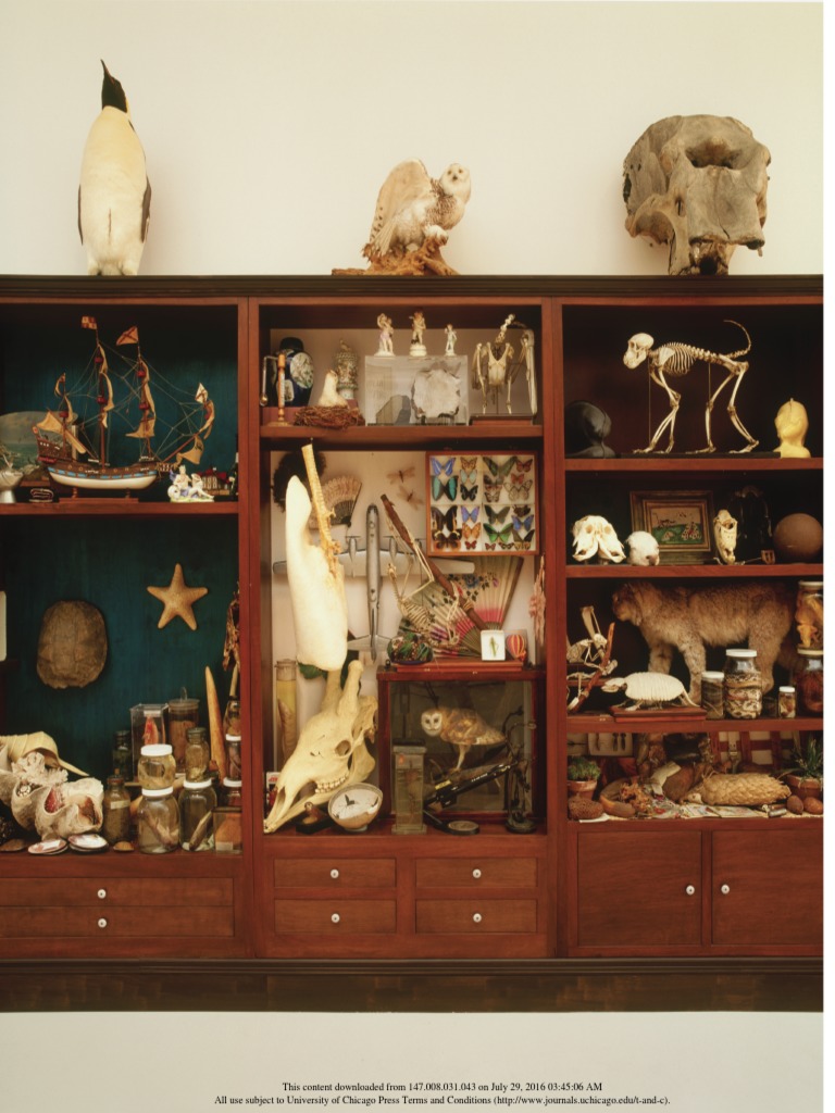 Mark Dion's Cabinet of Curiosities | PDF | History