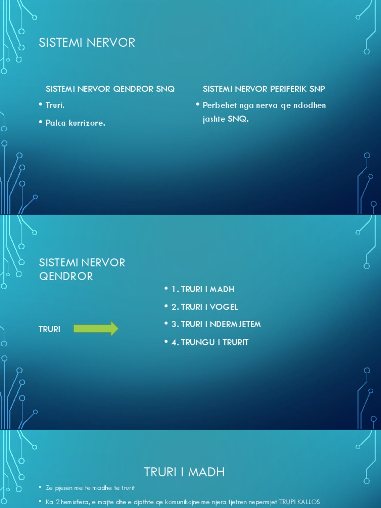 Sistemi Nervor 2 | PDF