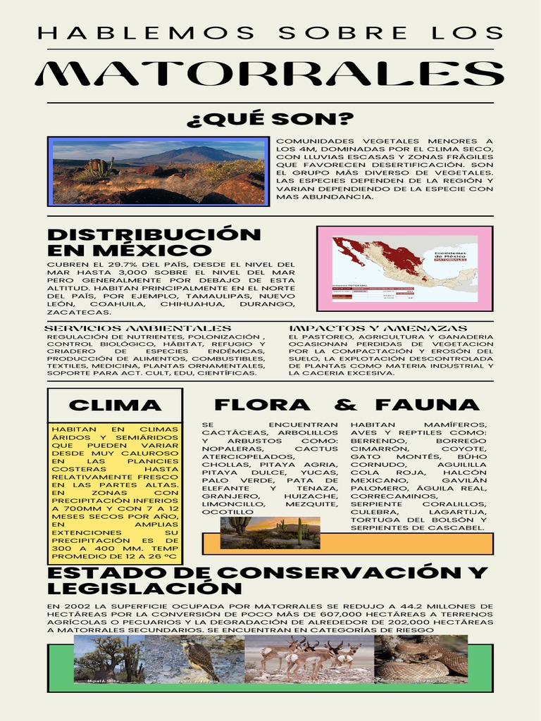 Ecosistema Matorrales - Biología | PDF | Entorno natural | Ciencias de ...