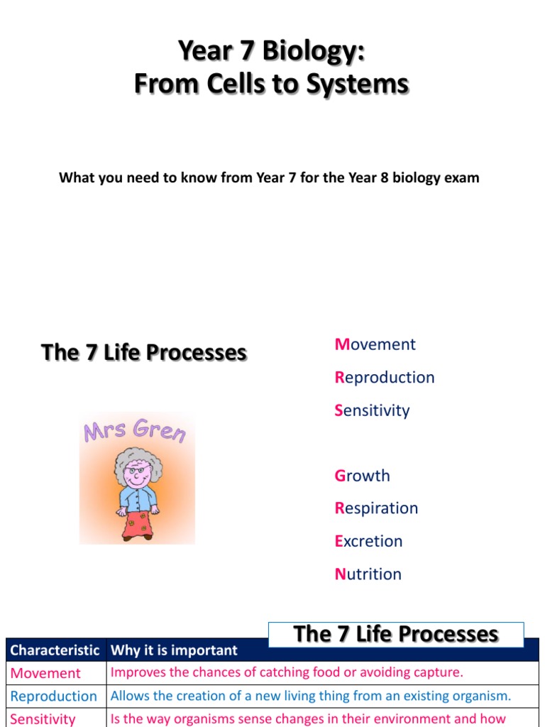 Year 7 Biology Essentials | PDF | Cell (Biology) | Plants