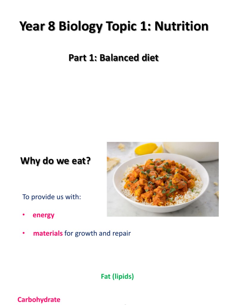 Year 8 Biology: Nutrition Basics | PDF | Foods | Vitamin