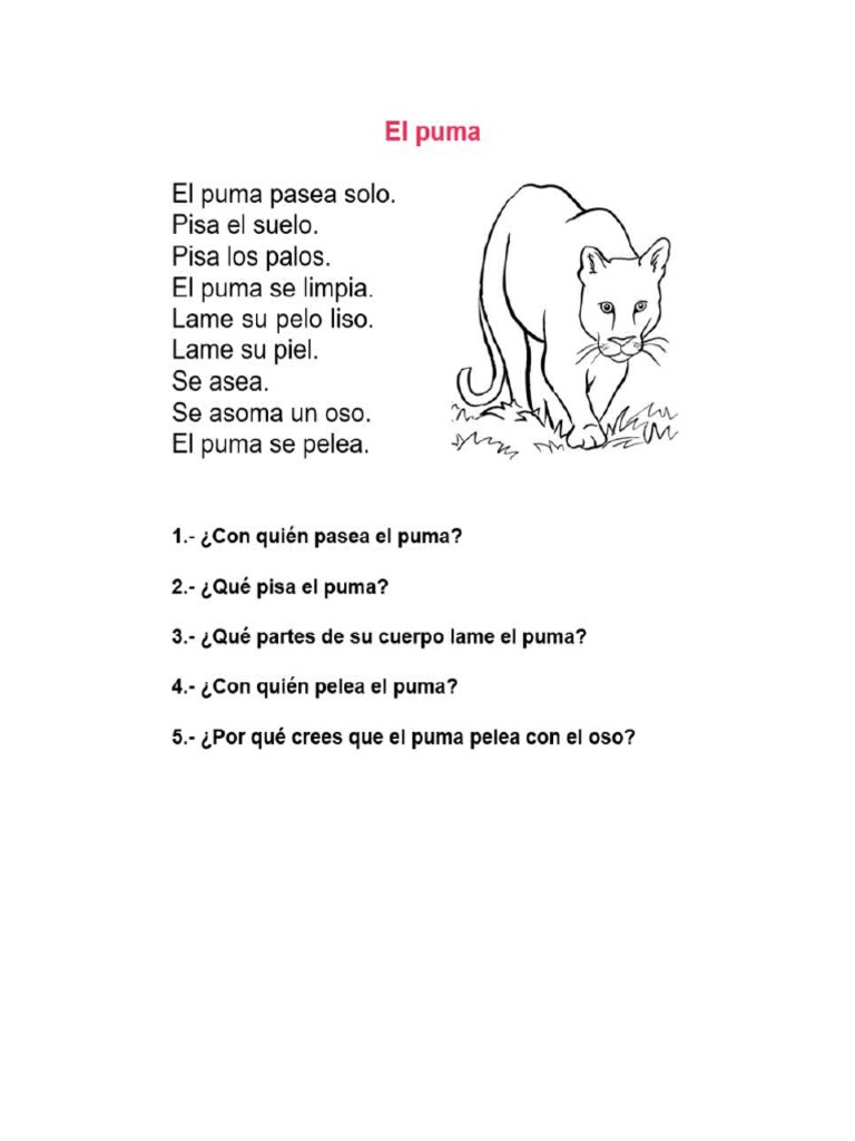 Lectura El Puma | PDF