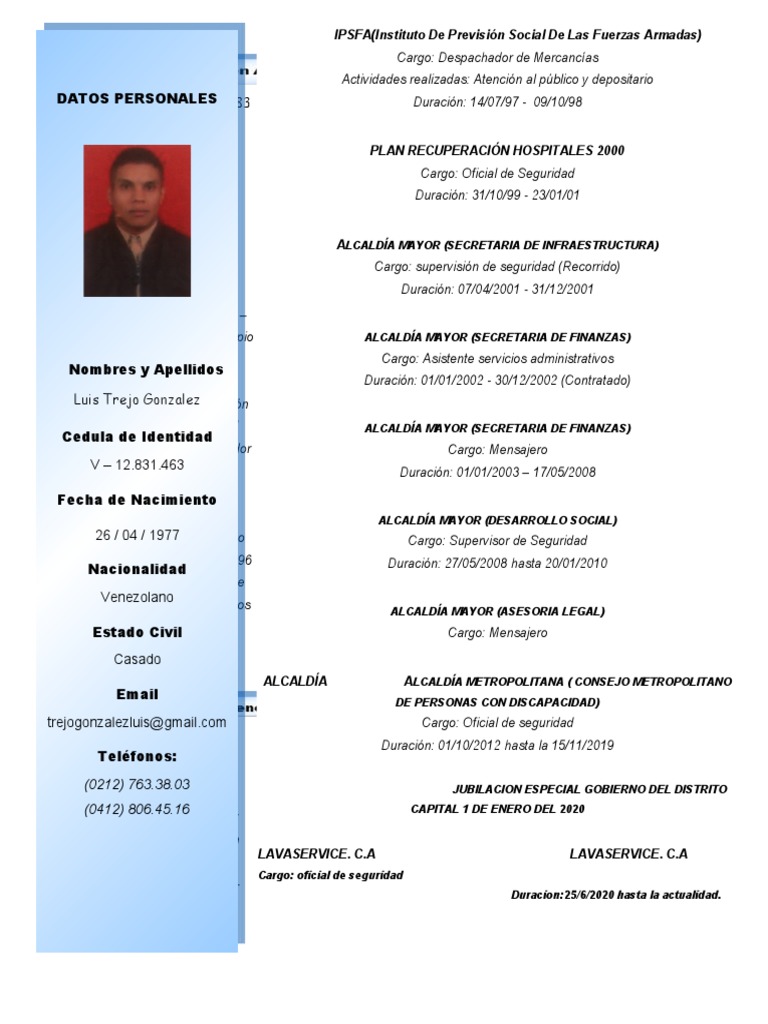 CURRICULUM Luis 1 | PDF